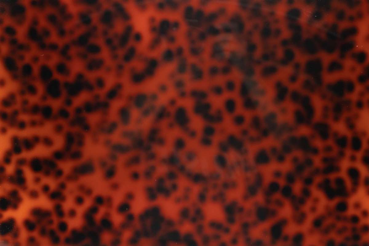 Brown Tortoise Shell Acrylic - 1/8" (3mm) *READ DESCRIPTIONS*