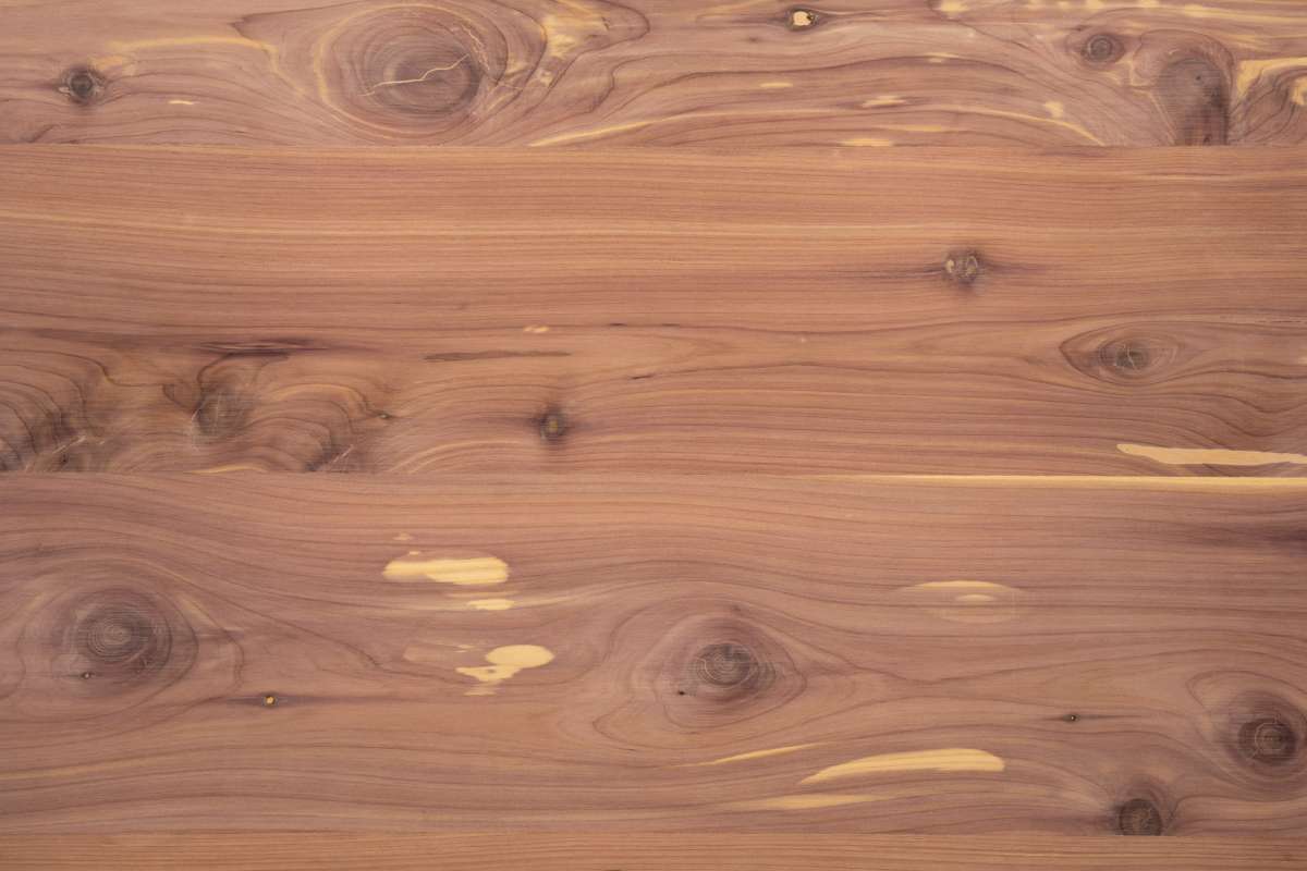 Aromatic Cedar Plywood (MDF Core) ~ 1/8"